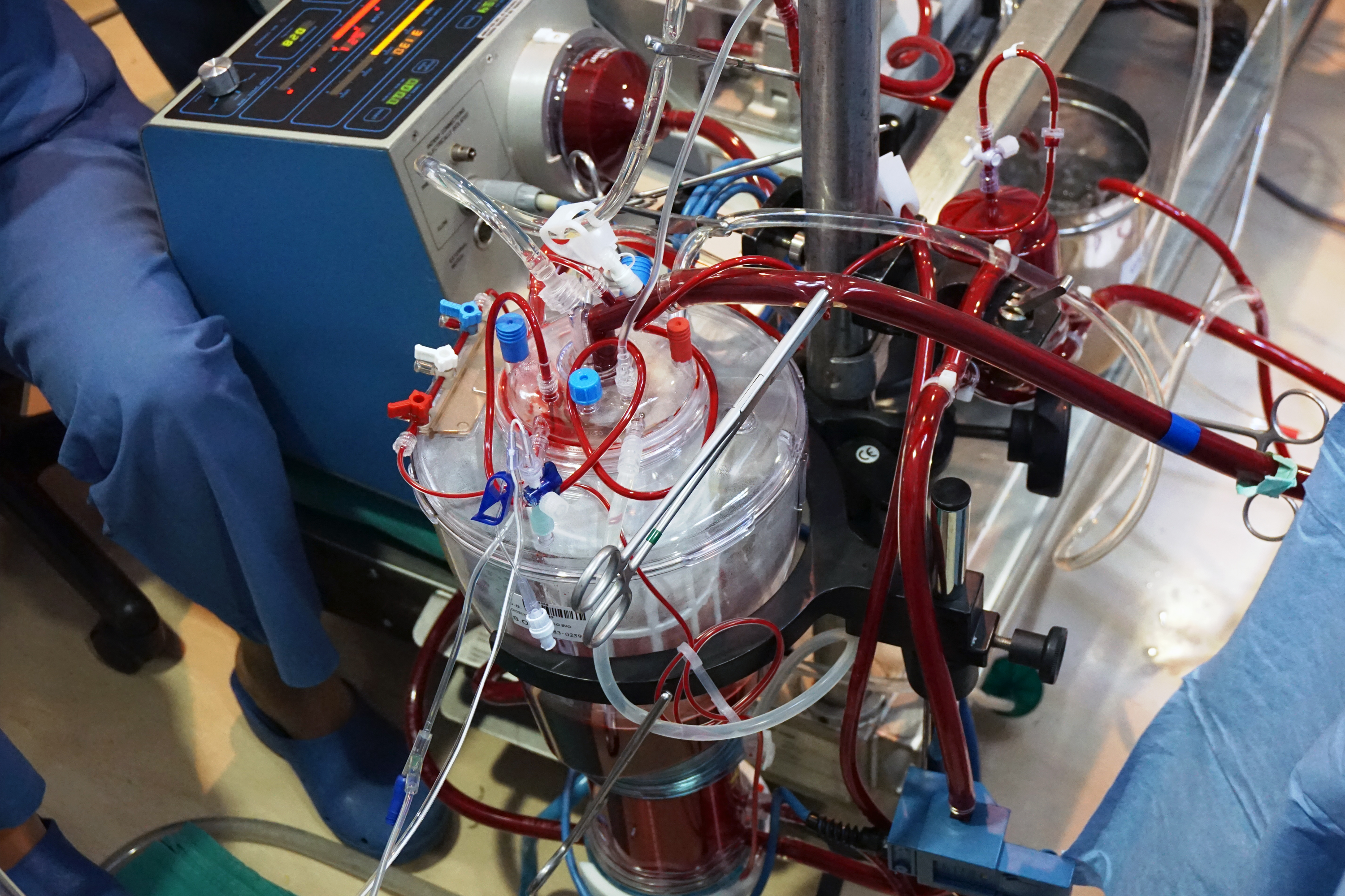 Apoyo Cardiovascular S.A.C.